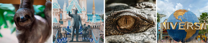 Life at ZelTech - ZelTech, Inc.